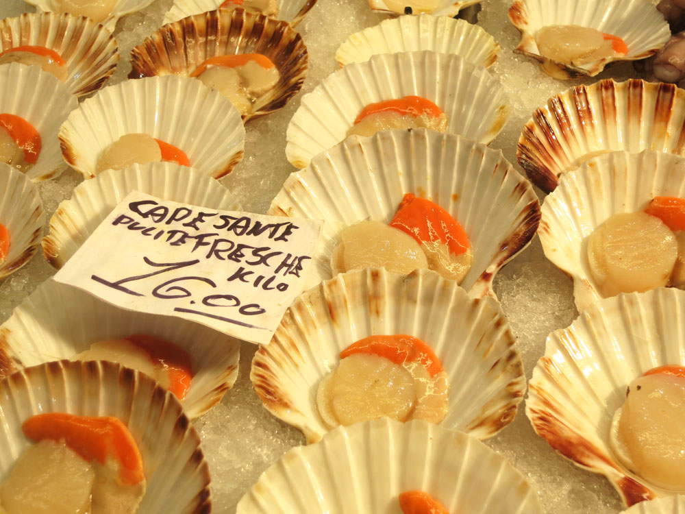 Scallops Venice - Evan Kleiman
